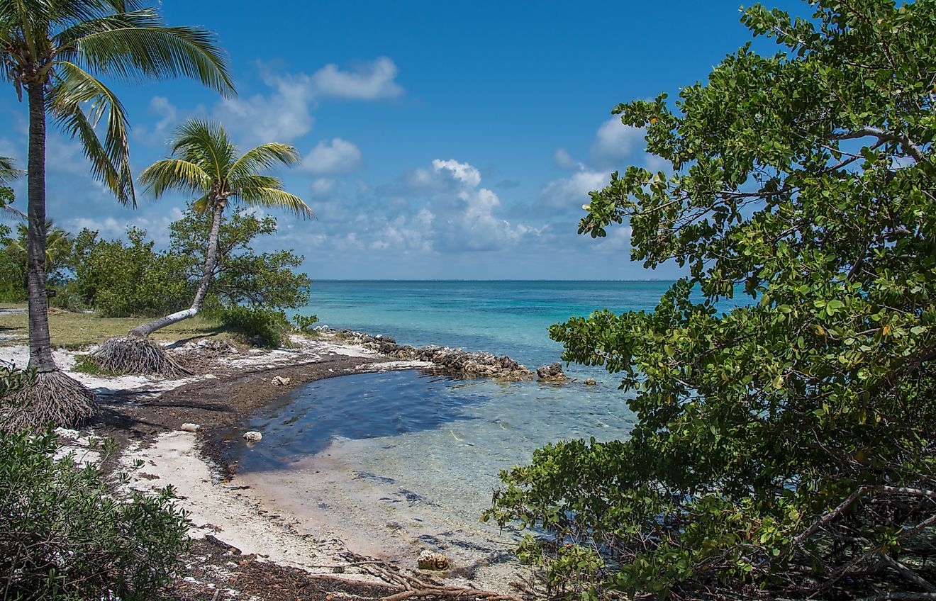 Biscayne National Park - All About America