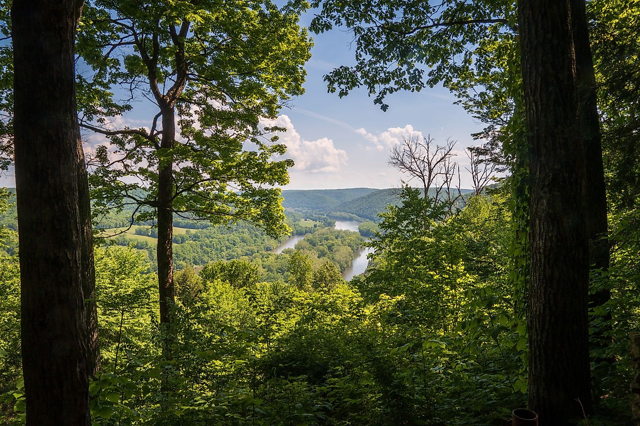 Allegheny National Forest: Pennsylvania's Only National Forest - All ...