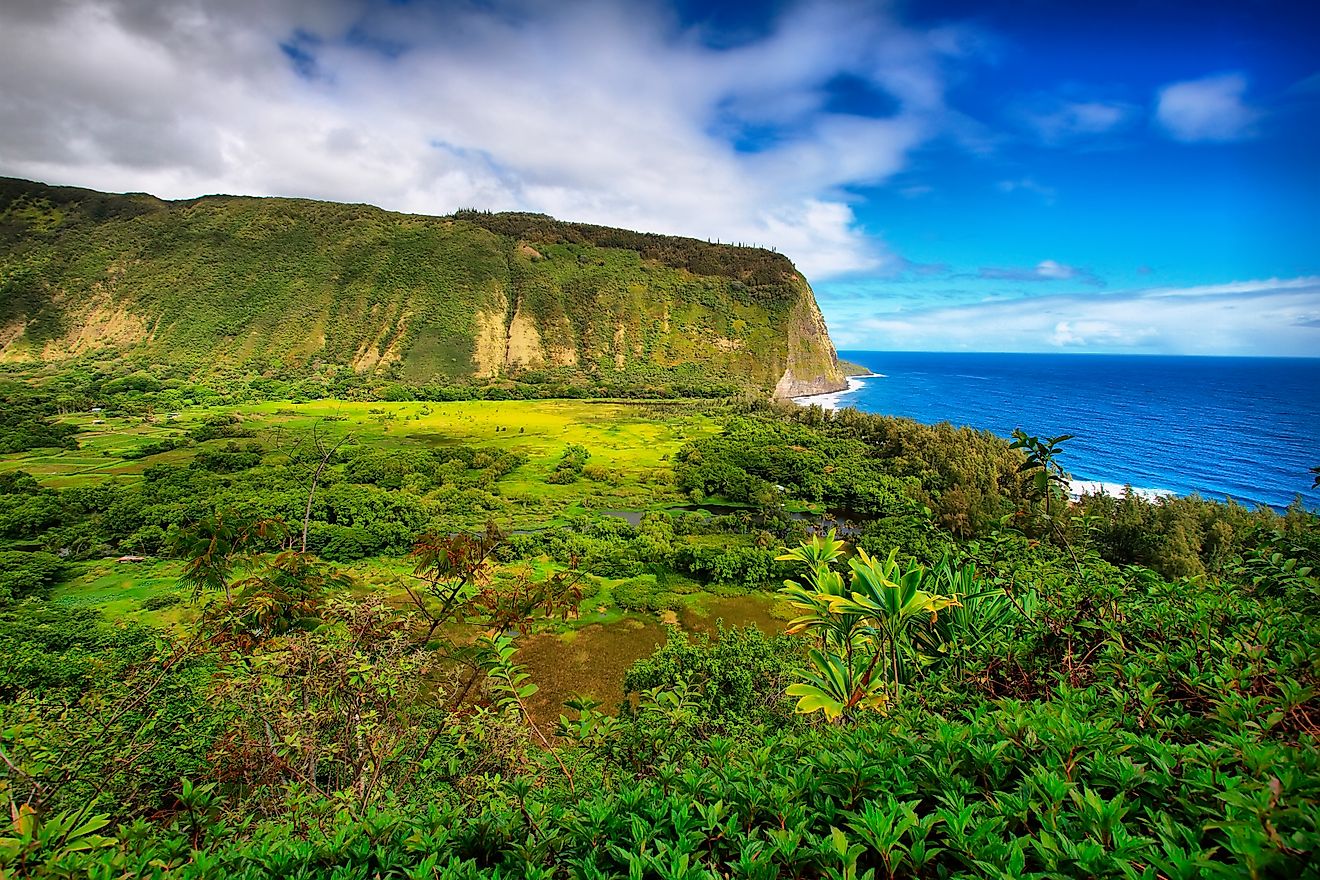 The Largest Islands In The United States - All About America